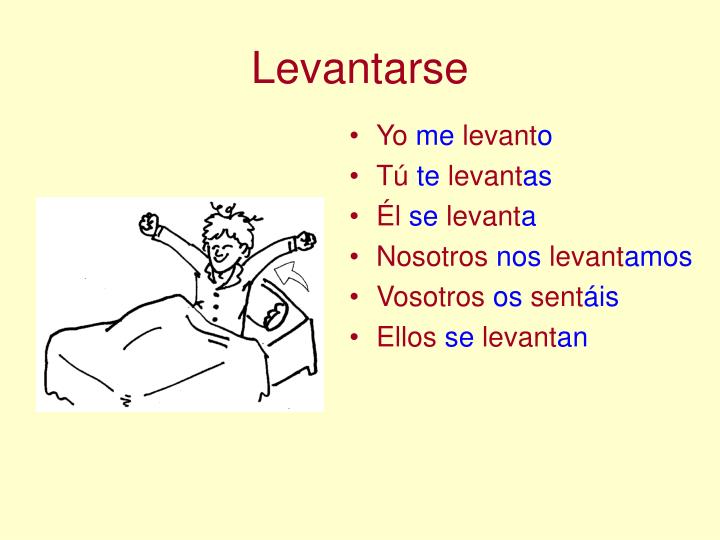 PPT - Reflexive verbs PowerPoint Presentation - ID:4712218