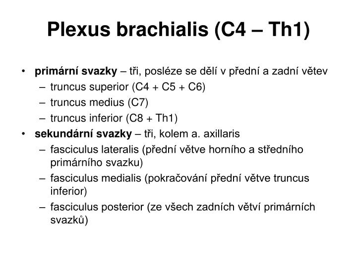 PPT - Periferní nervový systém PowerPoint Presentation - ID:4713847