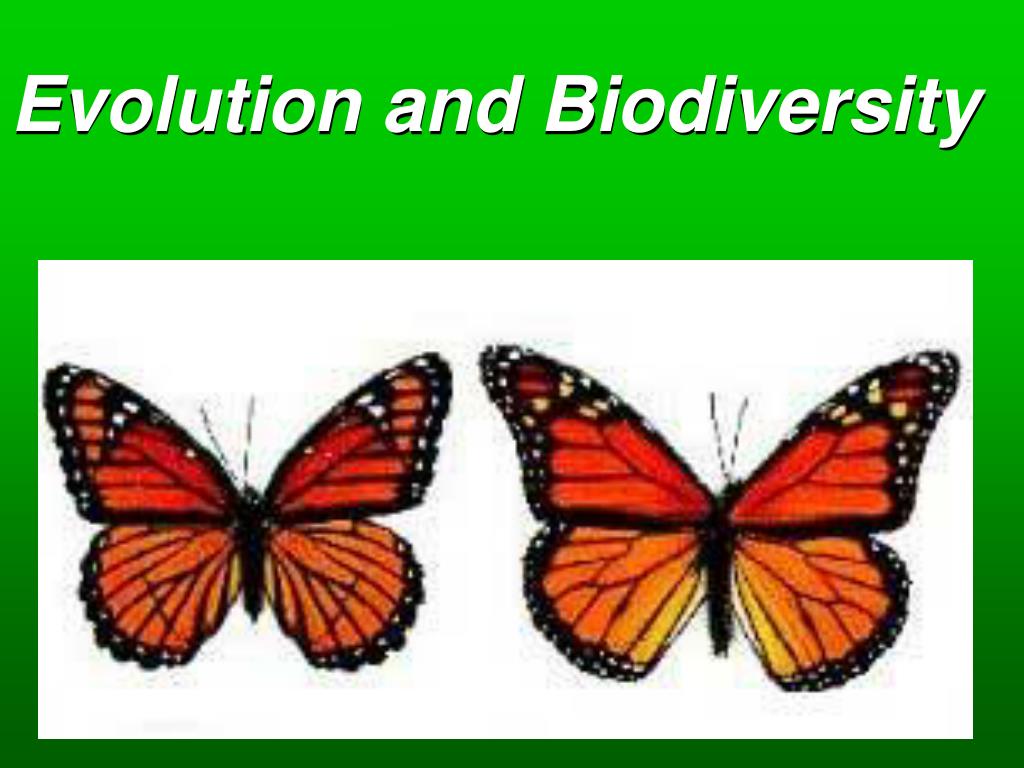 Ppt Evolution And Biodiversity Powerpoint Presentation Free Download