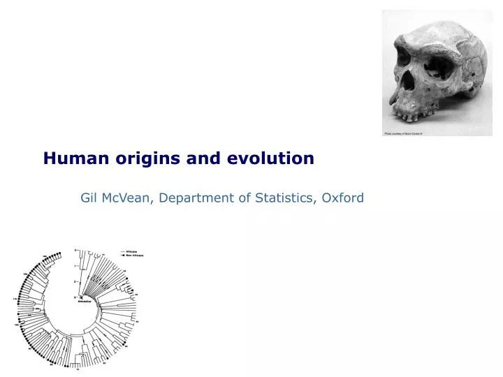 PPT - Human origins and evolution PowerPoint Presentation, free ...