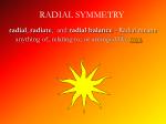 PPT - Radial Design & Symmetry PowerPoint Presentation - ID:4717109