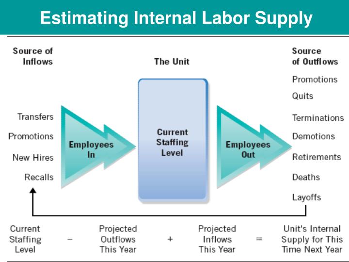 PPT - Human Resource Management PowerPoint Presentation - ID:4717542