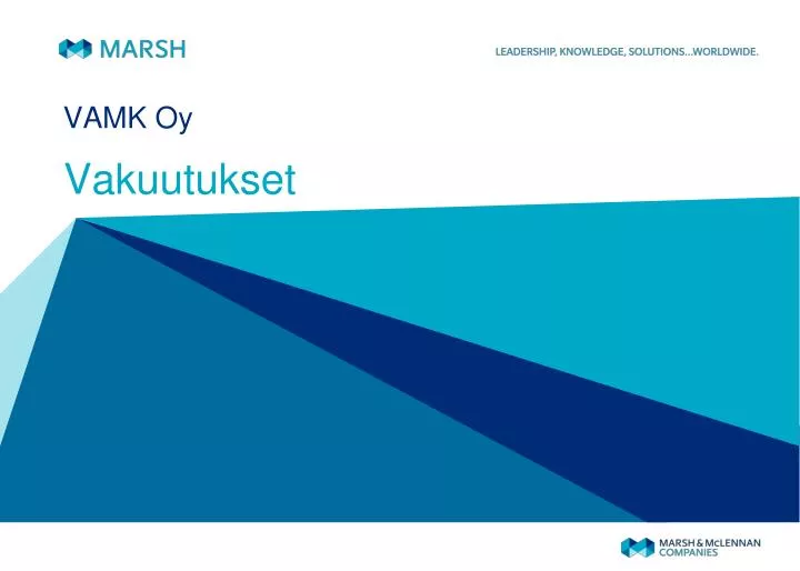 PPT - VAMK Oy PowerPoint Presentation, free download - ID:4717557