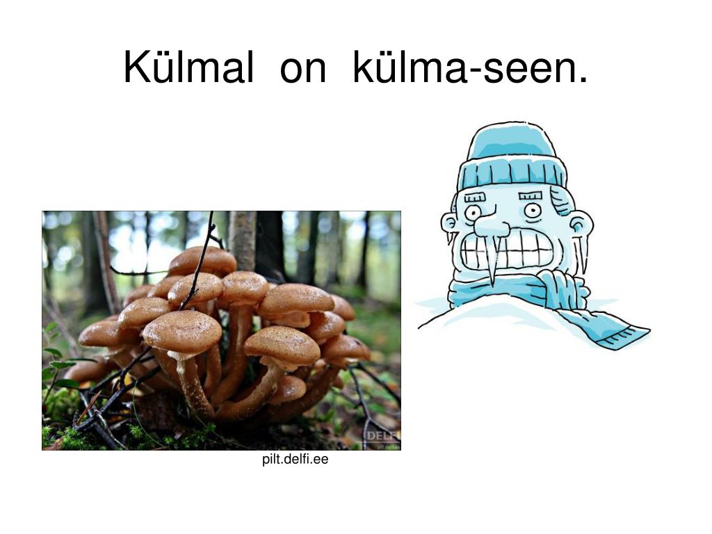 PPT - KARUJÕMMI SEENELKÄIK R. Valmseni järgi PowerPoint Presentation ...