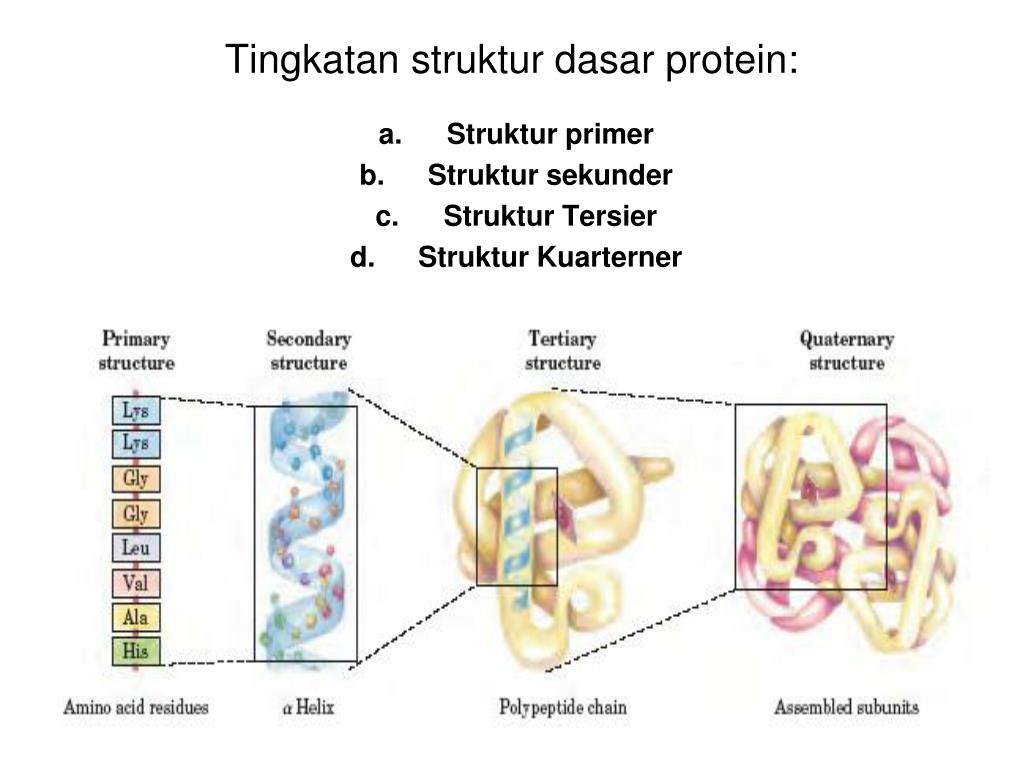 PPT - SASARAN BELAJAR Setelah mempelajari Materi ini Anda diharapkan ...