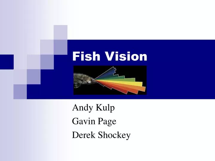 PPT - Fish Vision PowerPoint Presentation, free download - ID:4718376