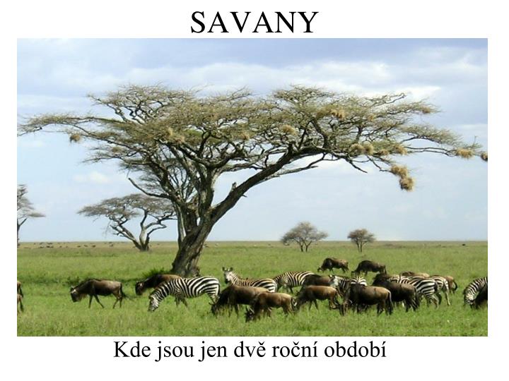 PPT - PŘÍRODNÍ ZEMSKÉ PÁSY PowerPoint Presentation - ID:4720331