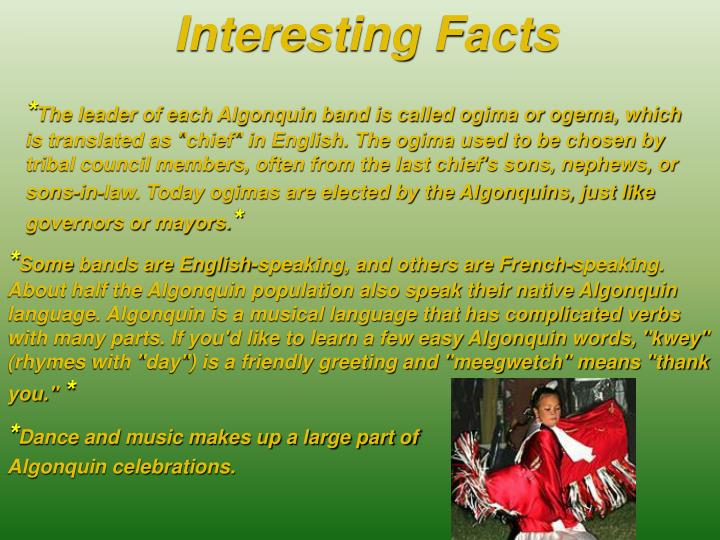 PPT - Algonquin Native American Tribe PowerPoint Presentation - ID:4721877