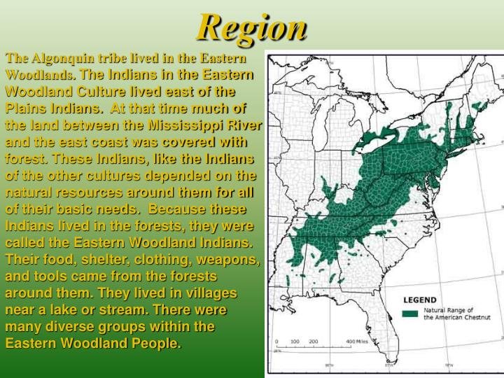 PPT - Algonquin Native American Tribe PowerPoint Presentation - ID:4721877