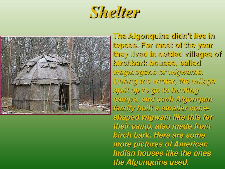 PPT - Algonquin Native American Tribe PowerPoint Presentation - ID:4721877