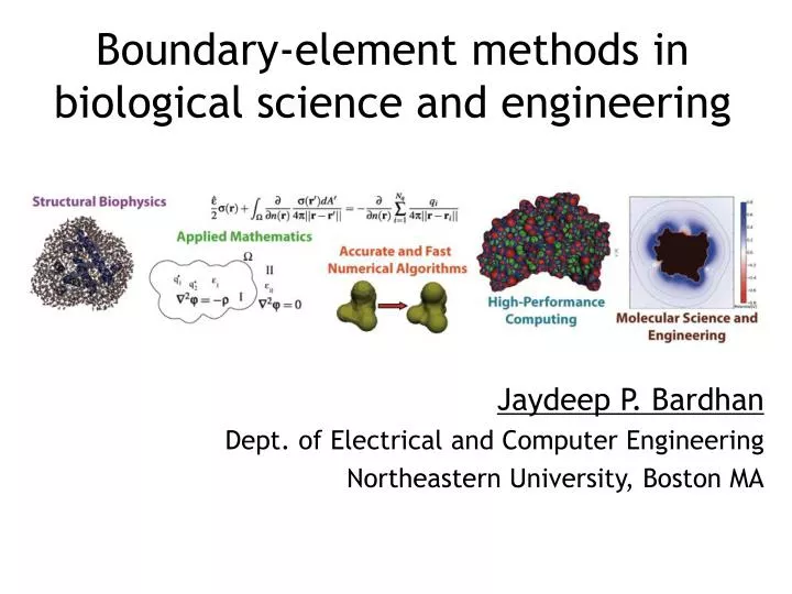 PPT - Boundary-element methods in biological science and engineering ...
