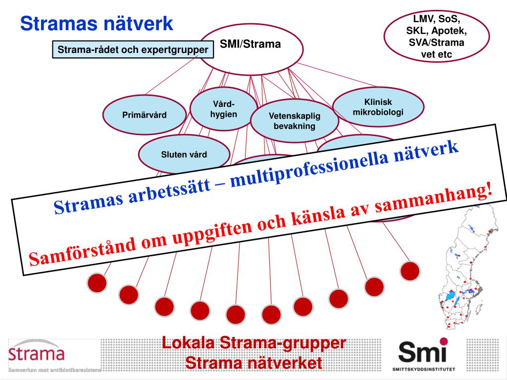 PPT - Hur arbetar vi i ett Strama-nätverk? PowerPoint Presentation ...