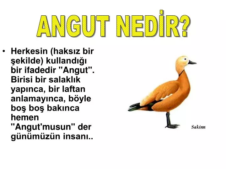 PPT - ANGUT NEDİR? PowerPoint Presentation, free download - ID:4722731