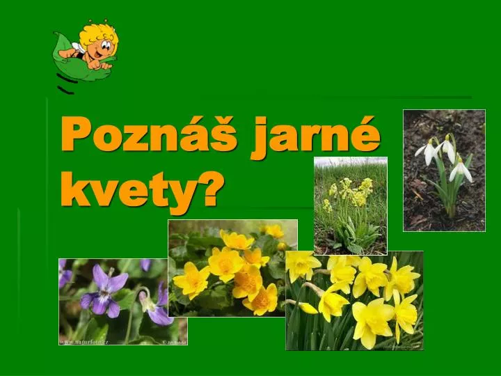 PPT - Poznáš jarné kvety? PowerPoint Presentation, free download - ID ...