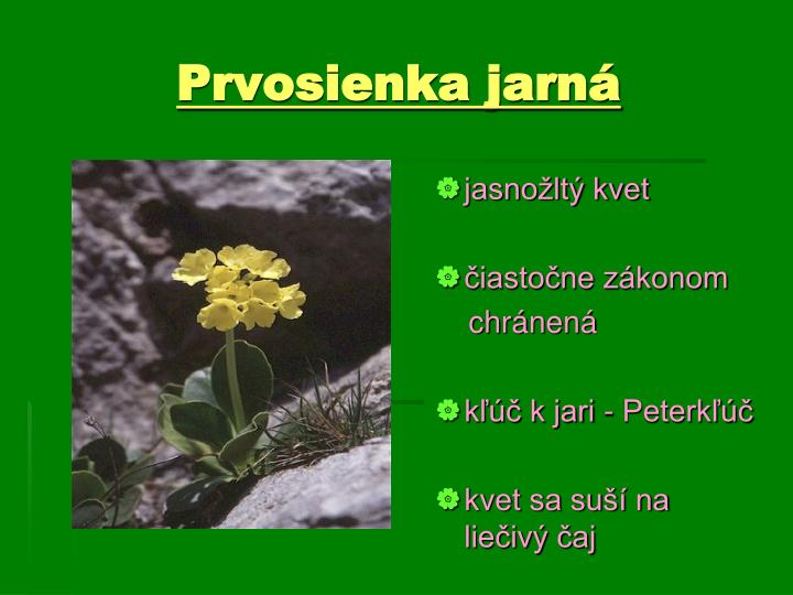 PPT - Poznáš jarné kvety? PowerPoint Presentation - ID:4723332