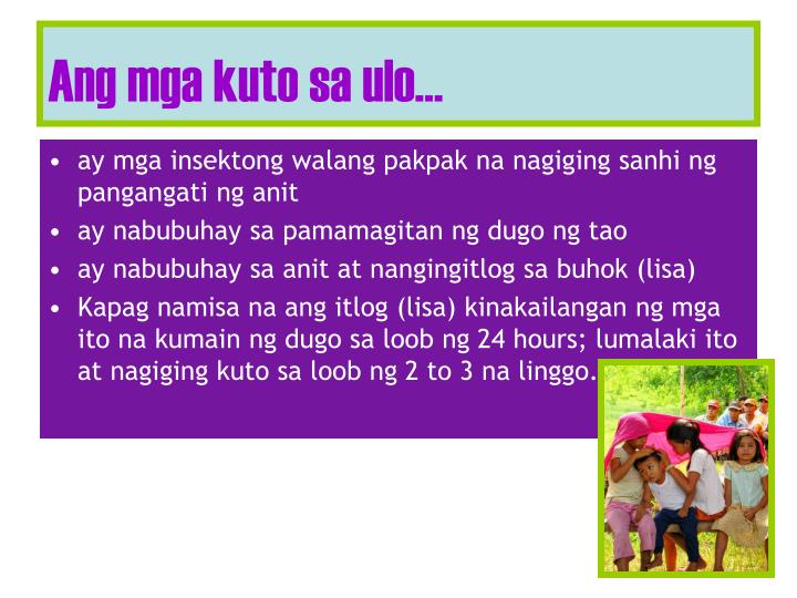 PPT - Pediculosis (Mga kuto sa ulo) PowerPoint Presentation - ID:4723477