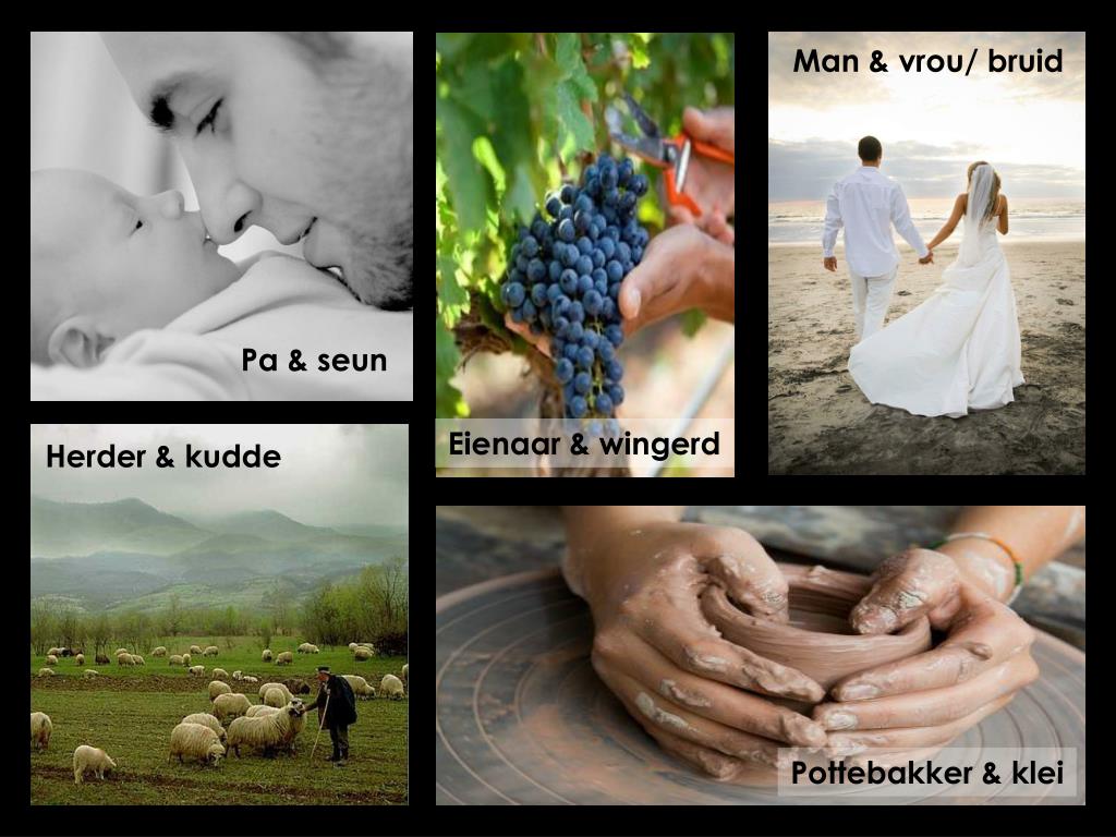 PPT - MUNUS TRIPLEX Die oprig en herstel van die drievoudige amp ...