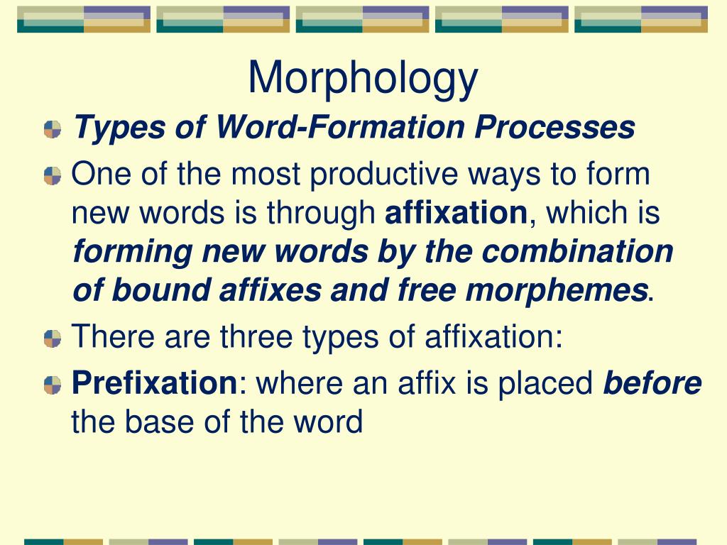PPT Morphology PowerPoint Presentation Free Download ID 4724558 PPT Morphology PowerPoint Presentation Free Download ID 4724558