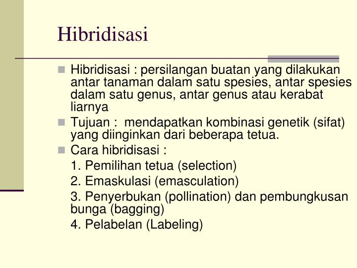 PPT - PEMULIAAN TANAMAN MENYERBUK SENDIRI PowerPoint Presentation - ID ...