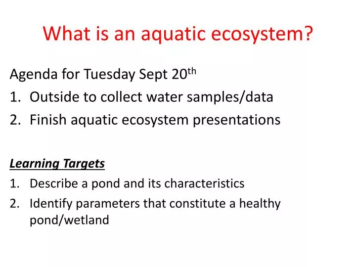 PPT - What is an aquatic ecosystem? PowerPoint Presentation, free ...