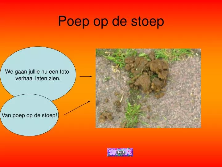 PPT - Poep op de stoep PowerPoint Presentation, free download - ID:4728637