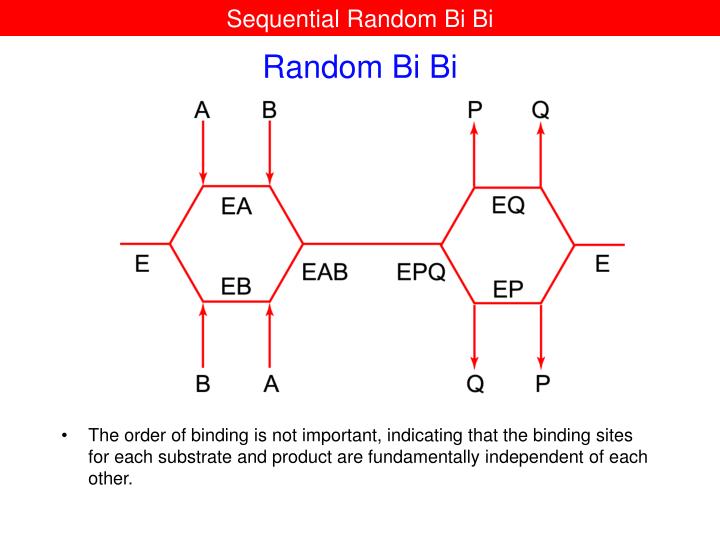 PPT - Bisubstrate Enzymes PowerPoint Presentation - ID:4728829