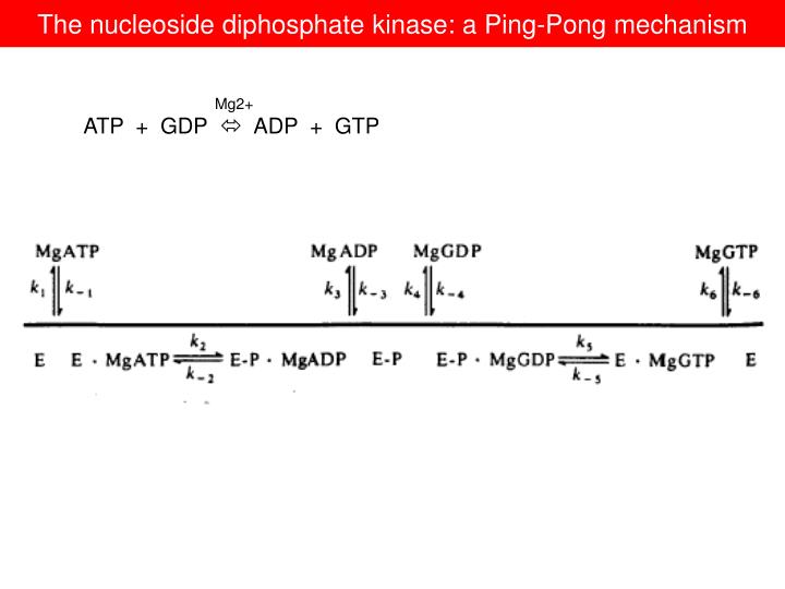 PPT - Bisubstrate Enzymes PowerPoint Presentation - ID:4728829