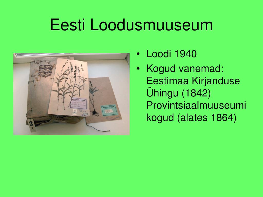 PPT - Eesti botaanilised kogud maailma taimeteaduses PowerPoint ...