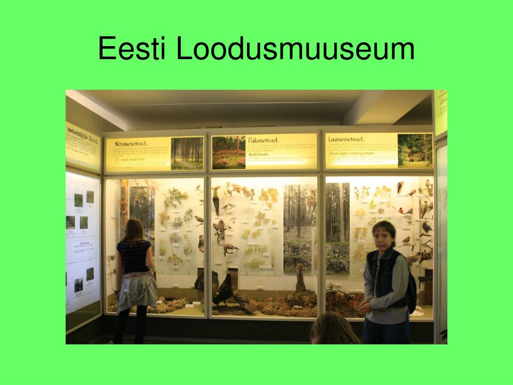 PPT - Eesti botaanilised kogud maailma taimeteaduses PowerPoint ...