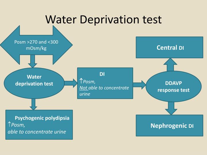 PPT - POLYURIA Tutorial PowerPoint Presentation - ID:4731301
