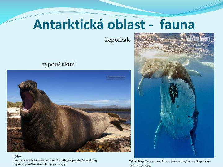 PPT - Polární pustiny PowerPoint Presentation - ID:4731551