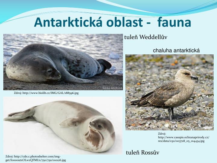 PPT - Polární pustiny PowerPoint Presentation - ID:4731551