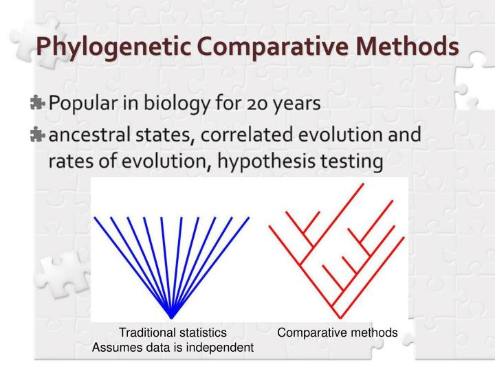 PPT - Estimating Rates Of Lexical Change PowerPoint Presentation - ID ...