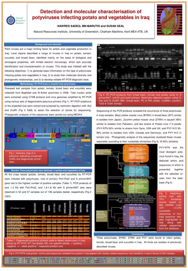 PPT - Background and rationale PowerPoint Presentation, free download ...