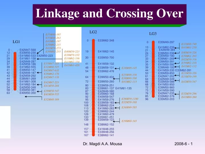 PPT - Linkage and Crossing Over PowerPoint Presentation, free download ...