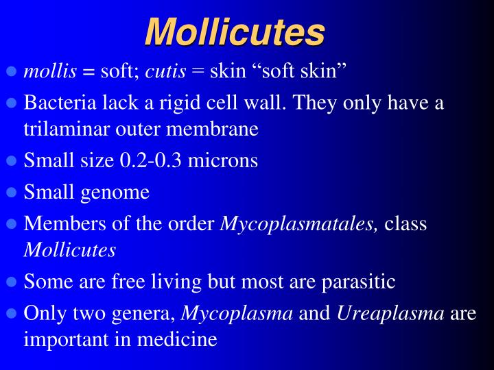 PPT - THE GENERA MYCOPLASMA AND UREAPLASMA PowerPoint Presentation - ID ...