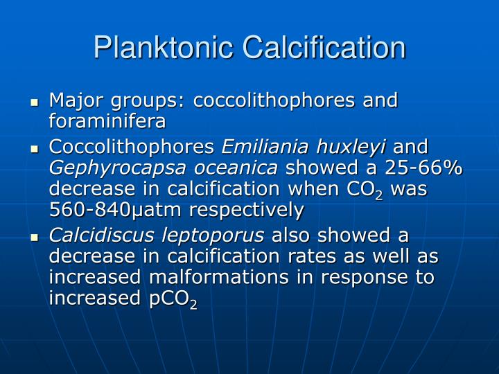 PPT - Ocean Acidification PowerPoint Presentation - ID:4735188