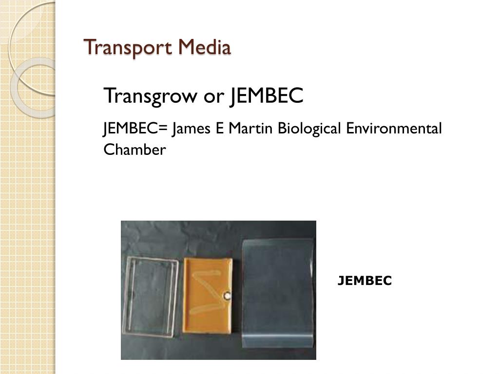 PPT - MLAB 2434: Microbiology Keri Brophy-Martinez PowerPoint ...