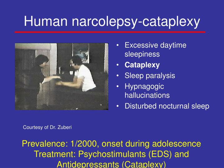 PPT - Stress, Arousal and Addiction: PowerPoint Presentation - ID:4737336