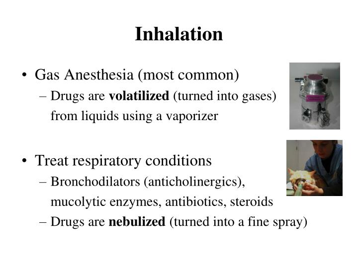 PPT - Principles and Methods of Drug Administration PowerPoint ...