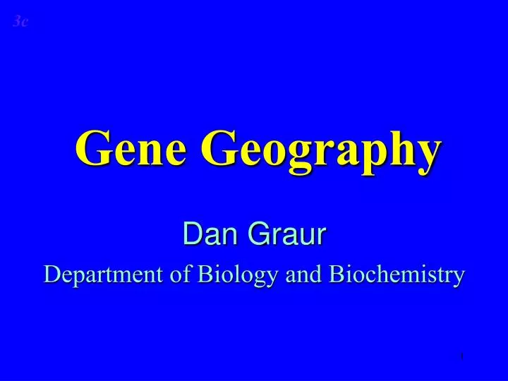 PPT - Gene Geography PowerPoint Presentation, free download - ID:4740595