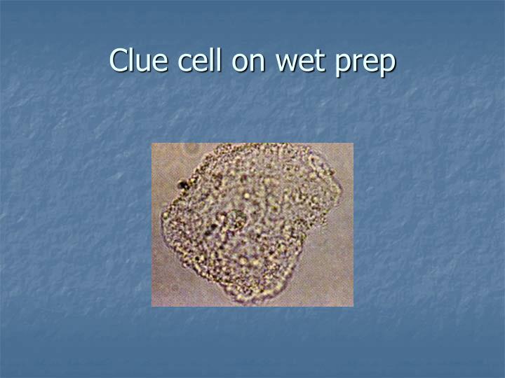 PPT - Gynecologic Emergencies PowerPoint Presentation - ID:4740905