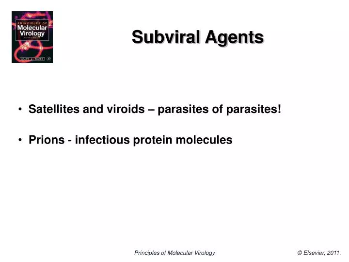 PPT - Subviral Agents PowerPoint Presentation, free download - ID:4741206