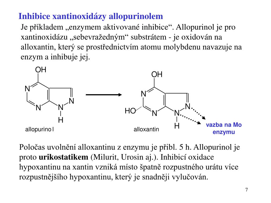 PPT - Poruchy metabolismu purinů PowerPoint Presentation, free download ...