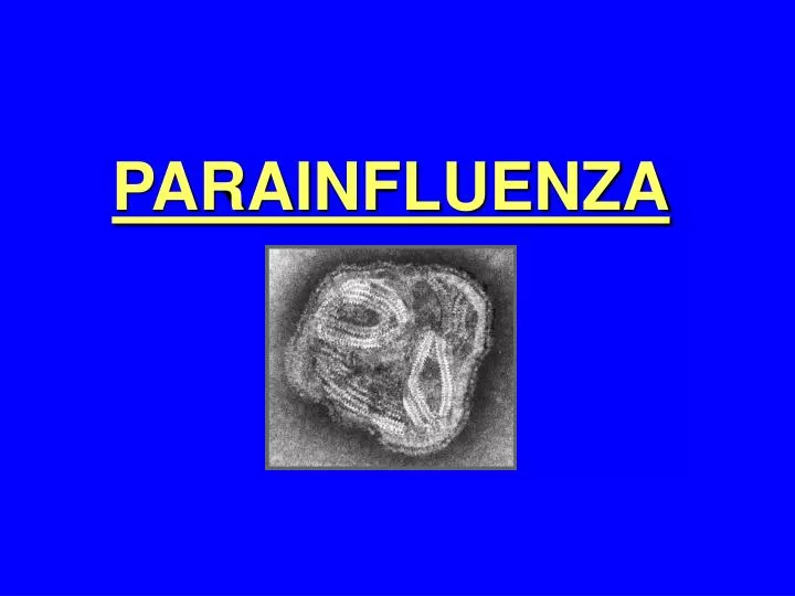 PPT - PARAINFLUENZA PowerPoint Presentation, free download - ID:4741450