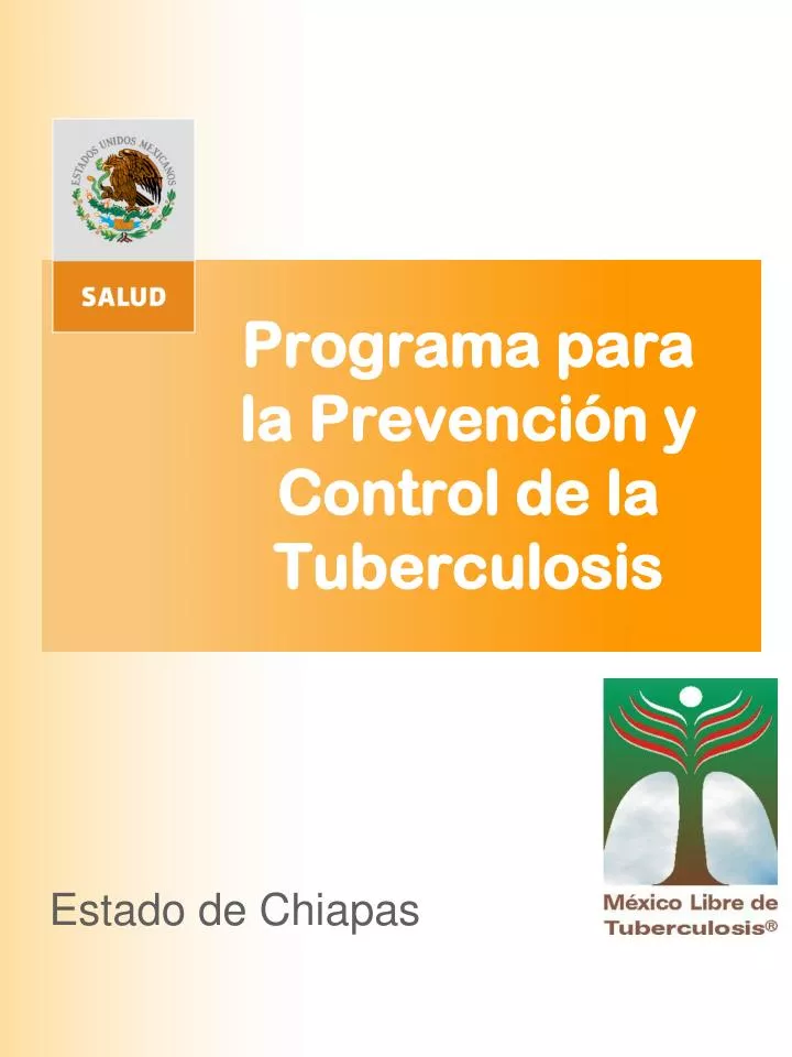 PPT - Programa para la Prevención y Control de la Tuberculosis ...