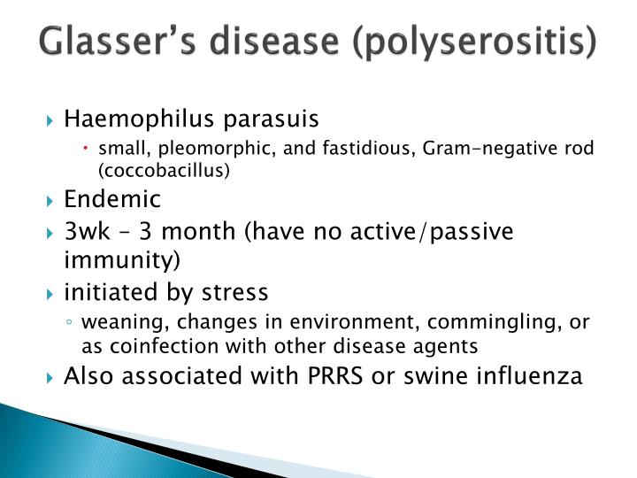 PPT - Swine diseases PowerPoint Presentation - ID:4741995