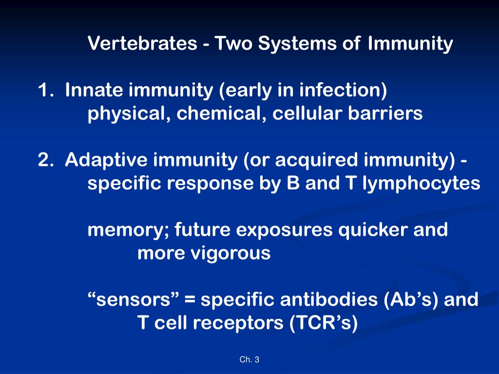 PPT - Ch. 3. Innate Immunity Anatomical barriers epidermis, dermis ...