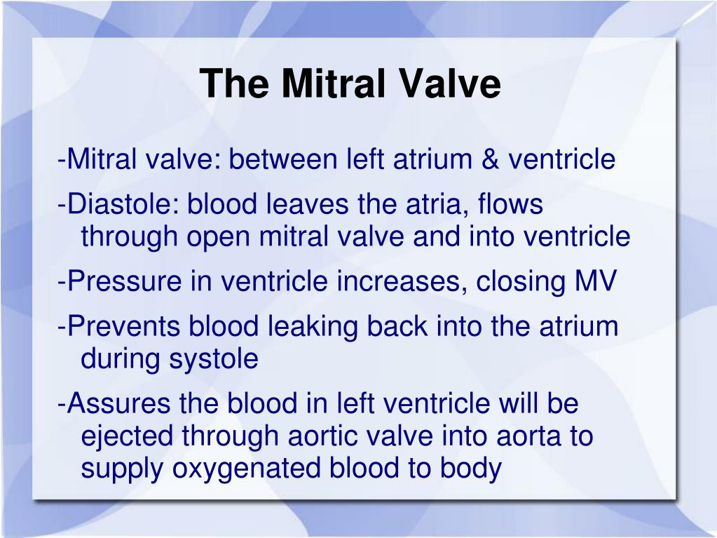 PPT - Mitral Valve Repair Case Study Deborah Jeanne Warner November 10 ...