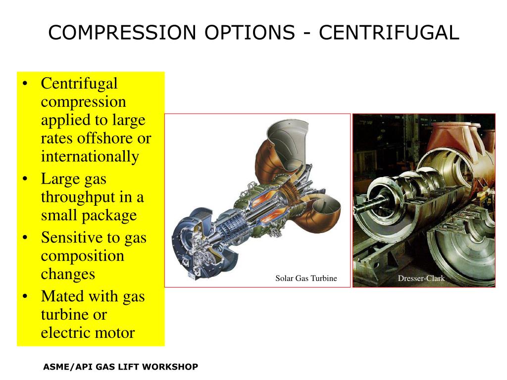 PPT - DOWNHOLE GAS LIFT AND THE FACILITY PowerPoint Presentation, free ...